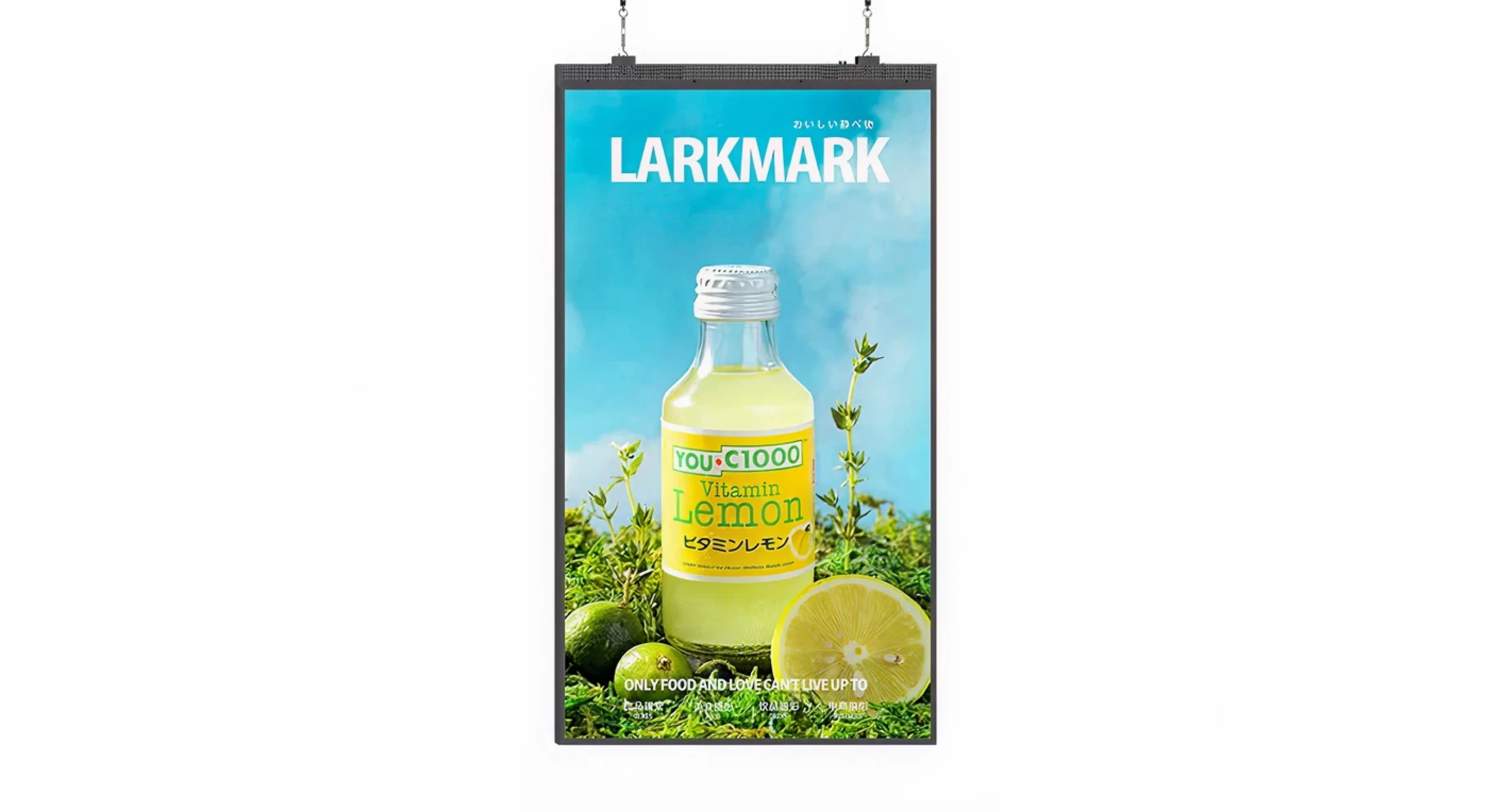 Window Displays - doxalux.com